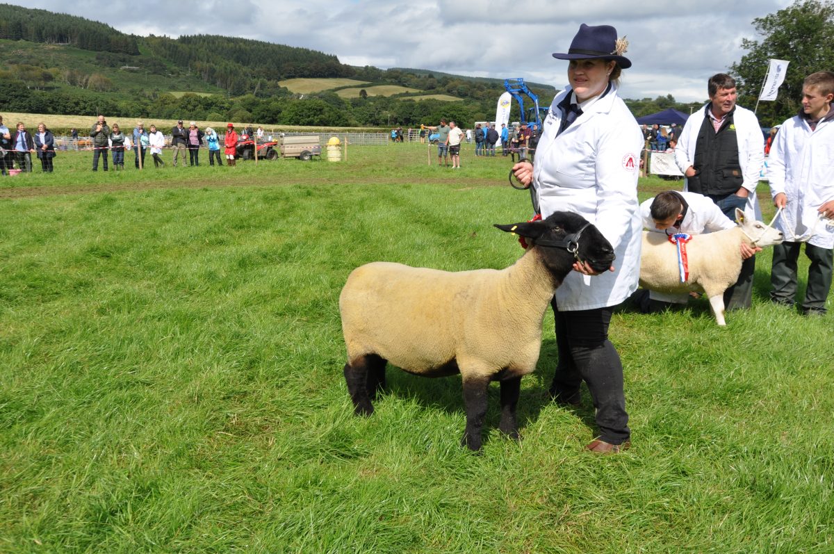 Gallery - The Arran Show