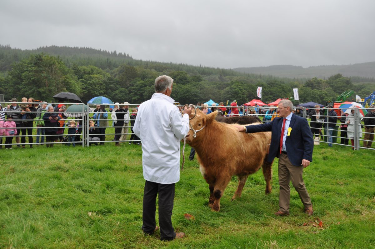 Gallery - The Arran Show