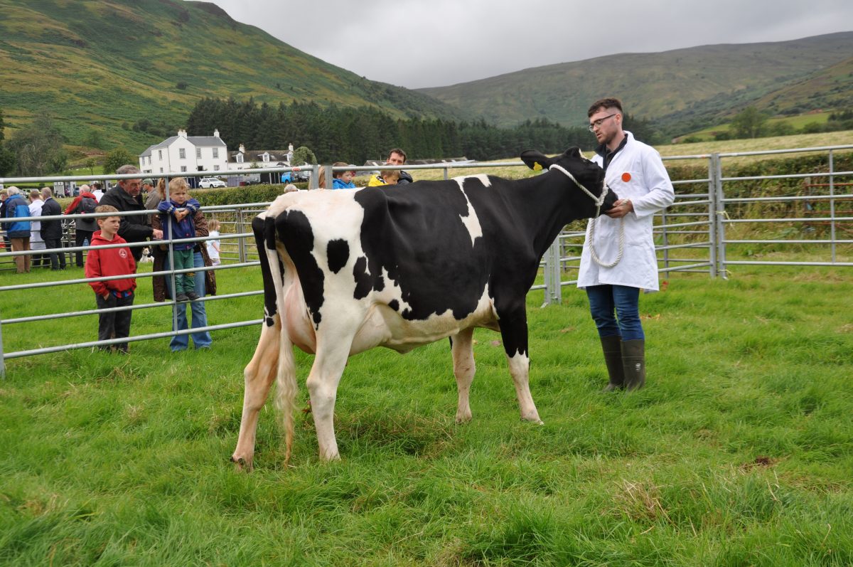 Gallery - The Arran Show