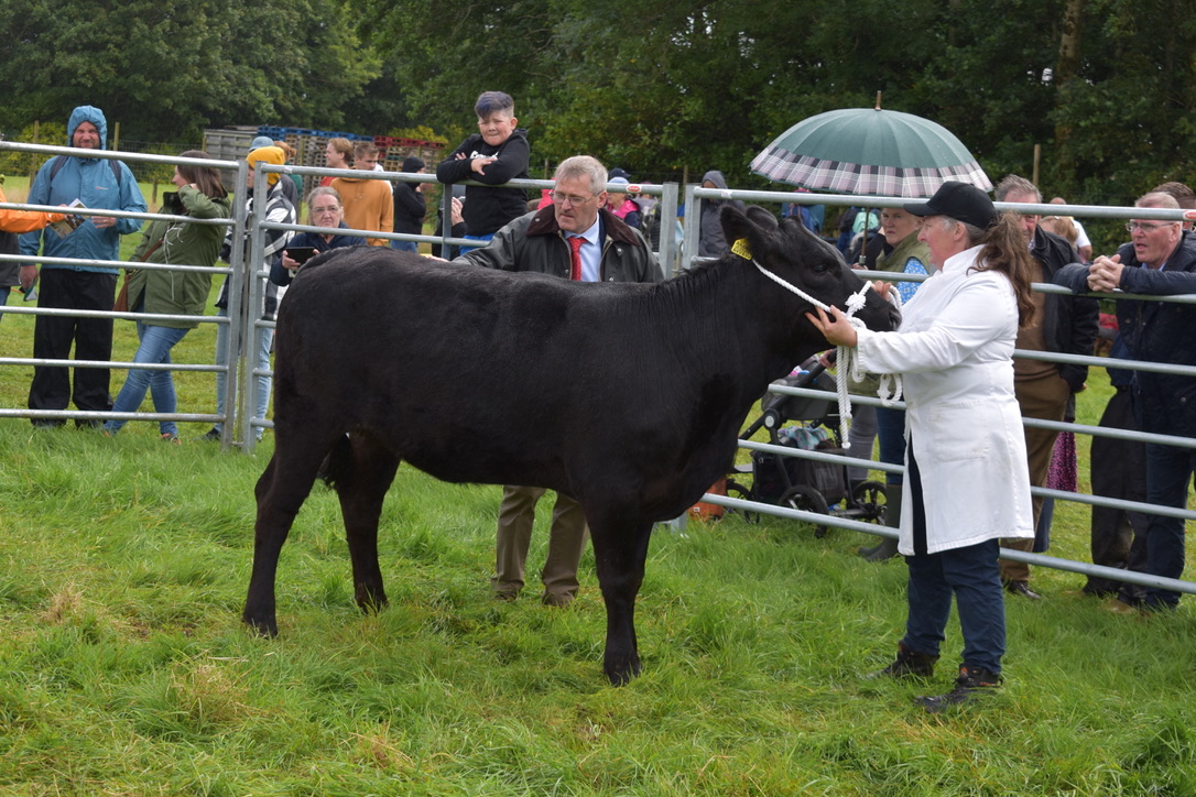 Gallery - The Arran Show