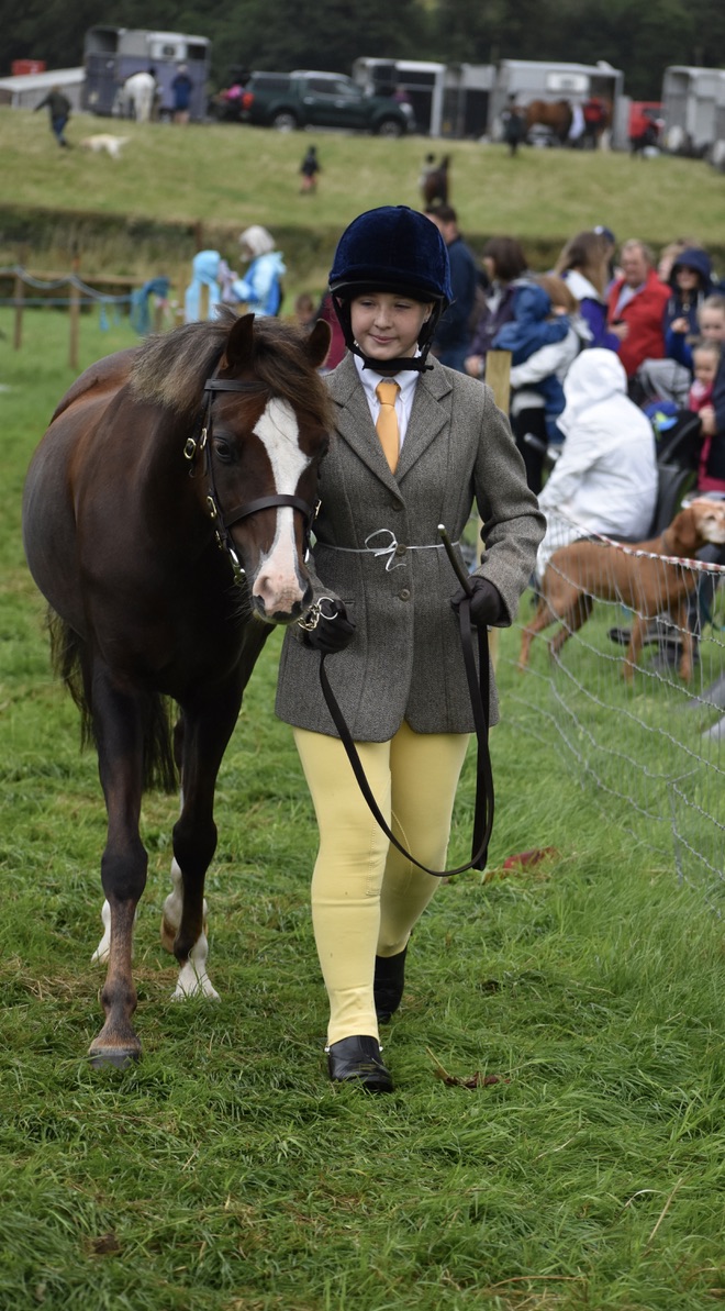 Gallery - The Arran Show